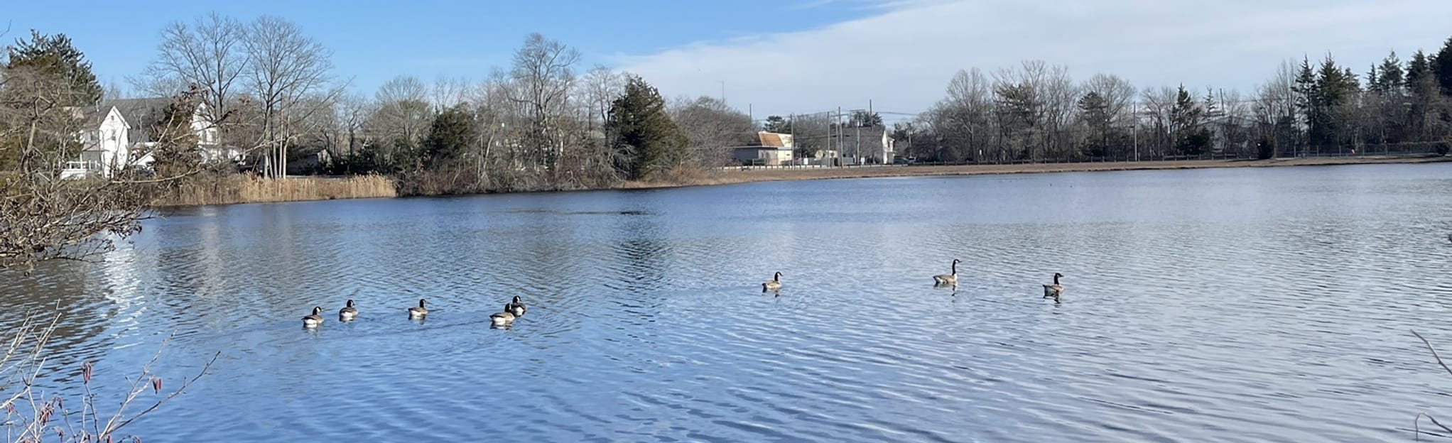 Barnegat Branch Trail: 199 Reviews, Map - New Jersey | AllTrails