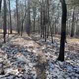 Horse Thief Spring and Ouachita Loop, Oklahoma - 179 Reviews, Map ...