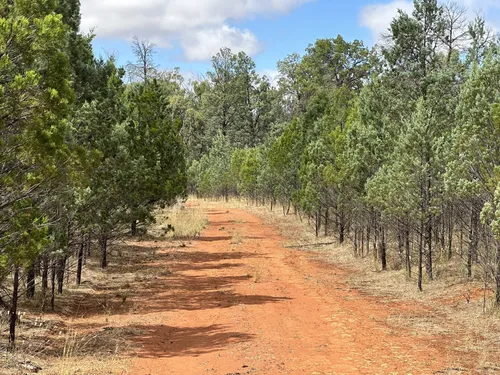 Best Hikes and Trails in Terrick Terrick National Park | AllTrails