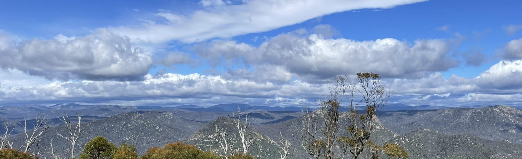 Mount Tennant and Bushfold Flats Loop: 284 foto - Territorio della ...