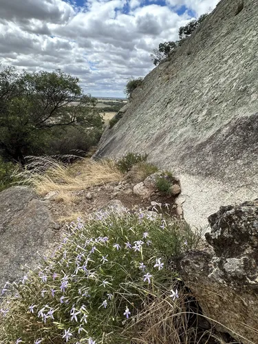 2023 Best Walking Trails in Pyramid Hill | AllTrails