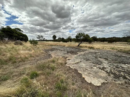 2023 Best Walking Trails in Pyramid Hill | AllTrails