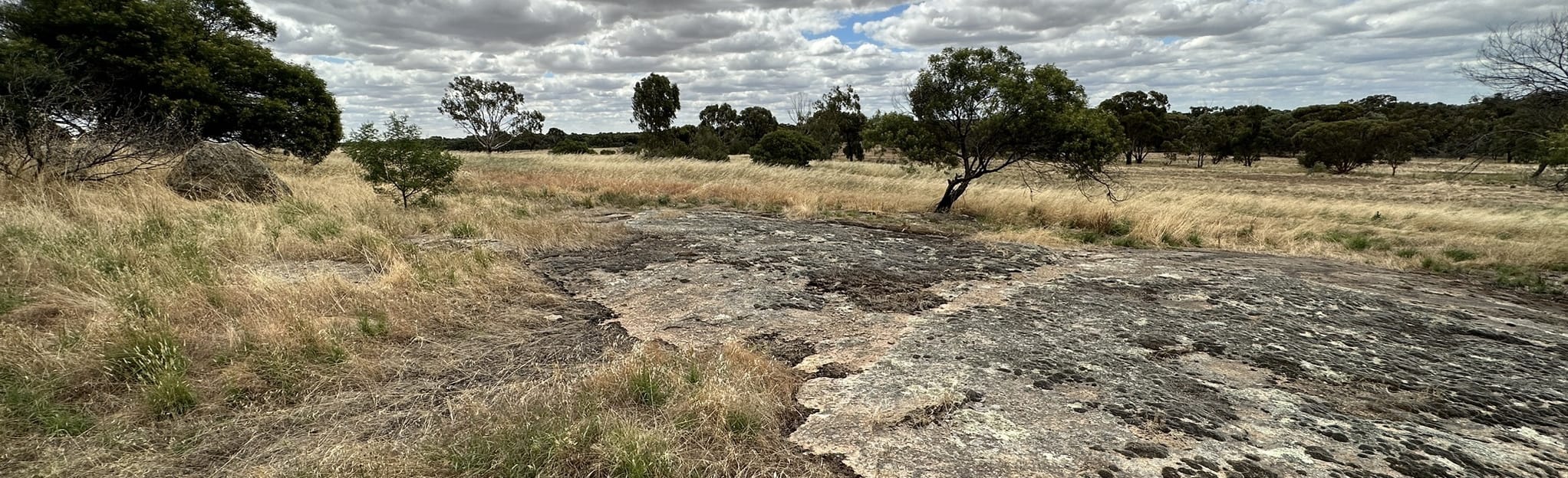 Pyramid Hill Circuit Walk, Victoria, Australia - 7 Reviews, Map | AllTrails