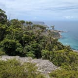 Palm Jungle Loop Track, New South Wales, Australia - 339 Reviews, Map ...