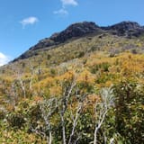 Stirling Range Ridge Walk, Western Australia, Australia - 196 Reviews ...