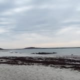 Goose Rocks Beach Walk, Maine - 242 Reviews, Map | AllTrails