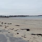 Goose Rocks Beach Walk, Maine - 242 Reviews, Map | AllTrails