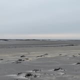 Goose Rocks Beach Walk, Maine - 242 Reviews, Map | AllTrails