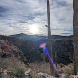 Milagrosa- Canyon Trail, Arizona - 406 Reviews, Map | AllTrails