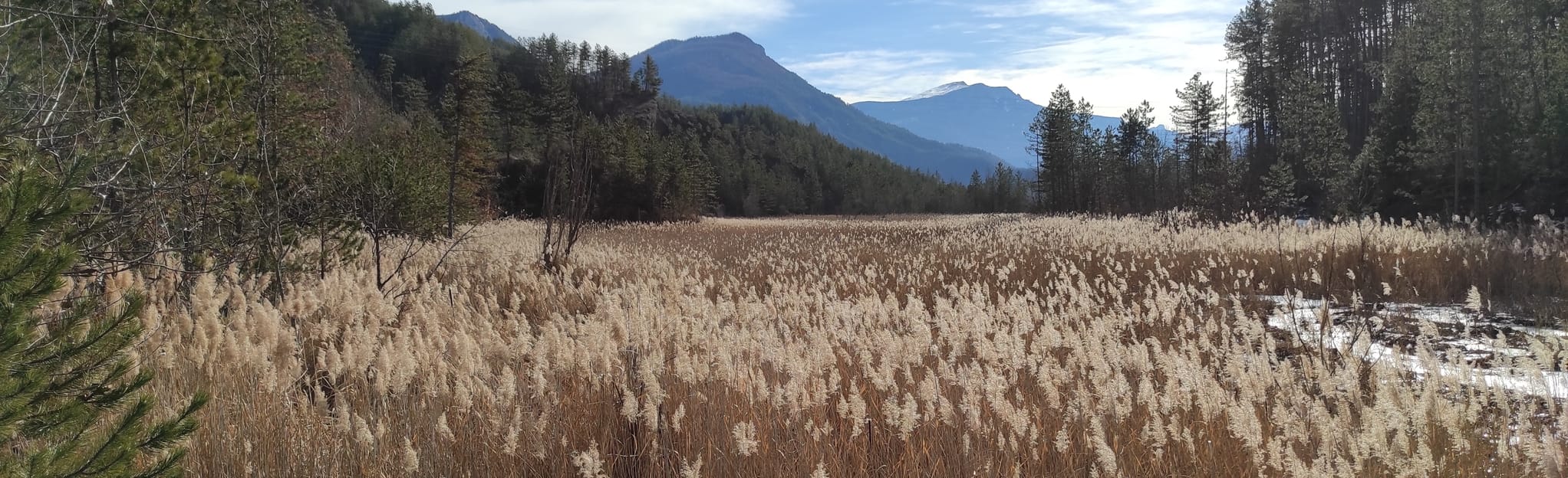 La Motte-du-Caire, Forêt Domaniale du Grand Vallon: 17 Reviews, Map ...