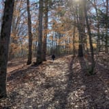 Peter's Creek Heritage Trail, South Carolina - 302 Reviews, Map | AllTrails