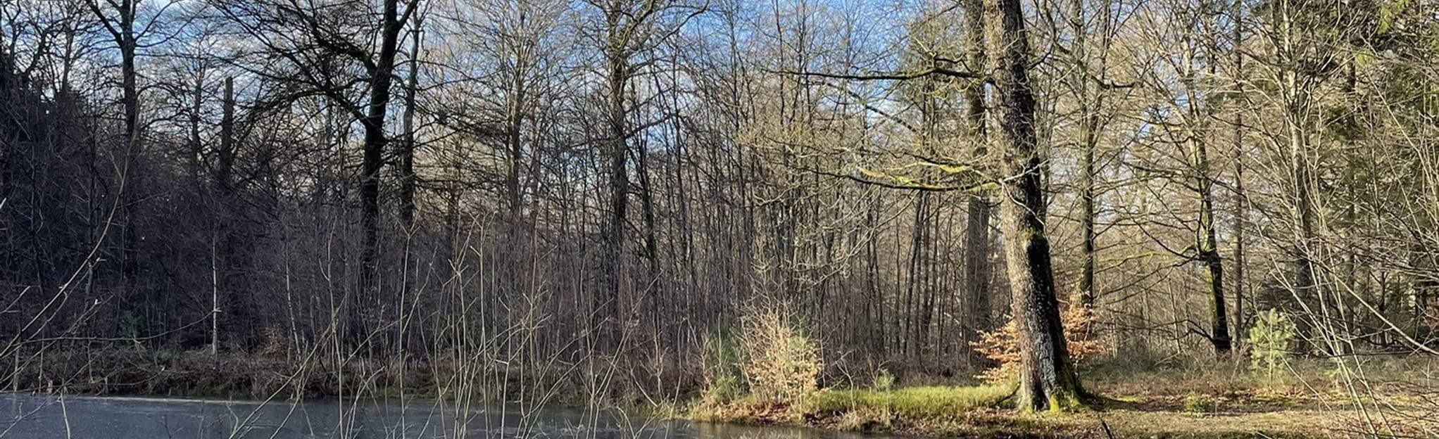 Nordskoven - Sokær: 23 Fotos - Region Midtjylland, Dänemark | AllTrails