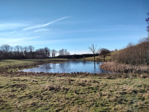 Bedste skovruter i Ryegaard Dyrehave for 2023 | AllTrails