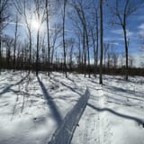 Levis/Trow Mounds Trail, Wisconsin - 268 Reviews, Map | AllTrails