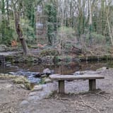 Rivelin Valley Trail, South Yorkshire, England - 268 Reviews, Map ...