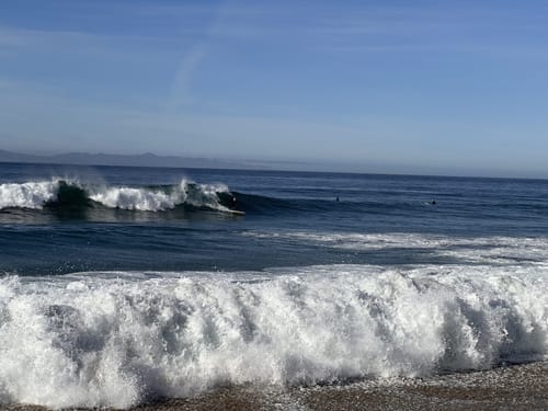 Best Hikes and Trails in Silver Strand State Beach | AllTrails
