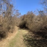 Morgan Run Natural Environmental Area Trails, Maryland - 414 Reviews ...
