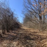 Morgan Run Natural Environmental Area Trails, Maryland - 414 Reviews ...