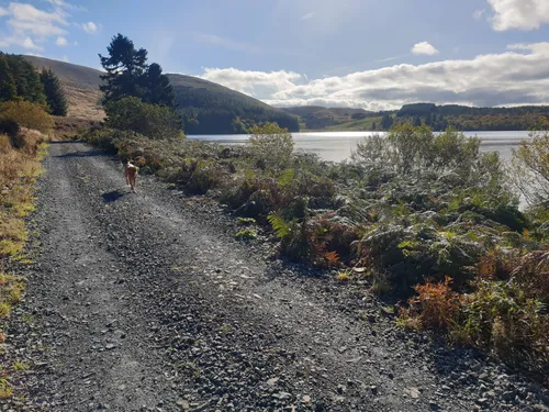 10 Best Trails, Walks, and Paths in Scottish Borders | AllTrails