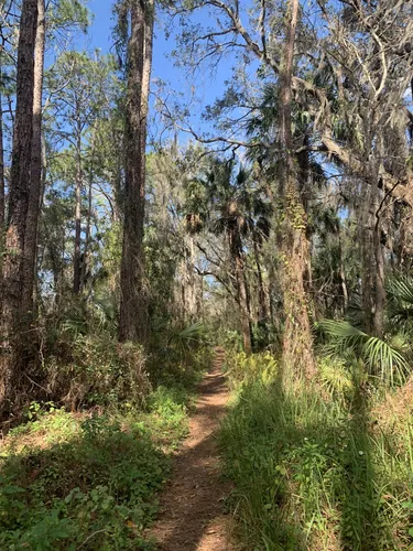 Best Hikes and Trails in Myron and Helen Gibbons Nature Preserve ...
