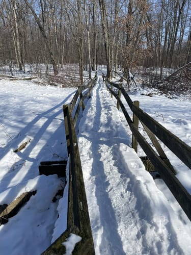 Best Hikes and Trails in Scotts Mill County Park | AllTrails