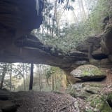 Red Byrd Arch, Kentucky - 226 Reviews, Map | AllTrails