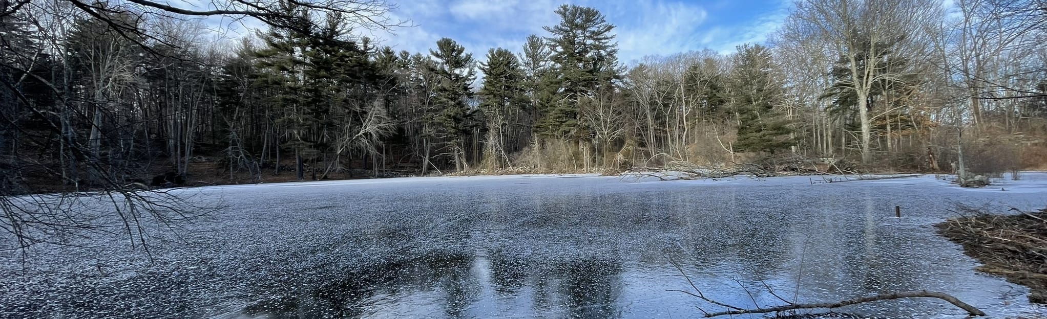 King Philips Woods Loop: 43 Reviews, Map - Massachusetts | AllTrails