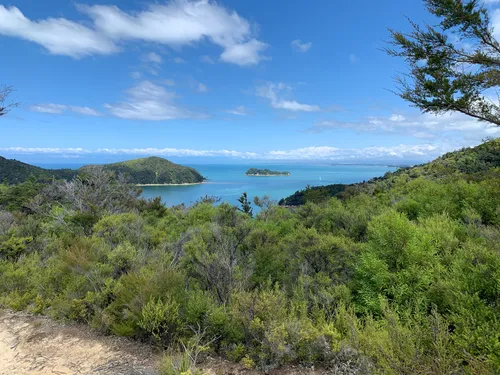 10 Best Hikes and Trails in Abel Tasman National Park | AllTrails
