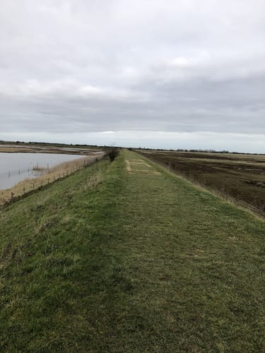 Best Hikes and Trails in Frampton Marsh Nature Reserve | AllTrails