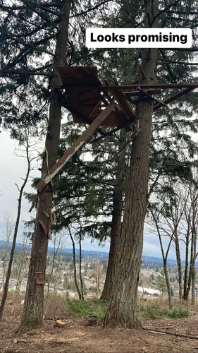 Best Hikes and Trails in Kelly Butte Natural Area | AllTrails