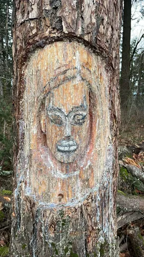 Best Hikes and Trails in Kelly Butte Natural Area | AllTrails