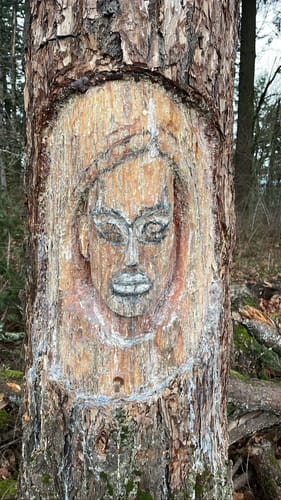 Best Hikes and Trails in Kelly Butte Natural Area | AllTrails