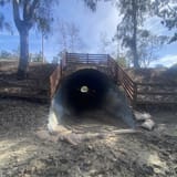 Oso Creek Trail, California - 40 Reviews, Map | AllTrails