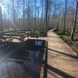 Joyce WMA Swamp Walk Nature Trail, Louisiana - 57 Reviews, Map | AllTrails