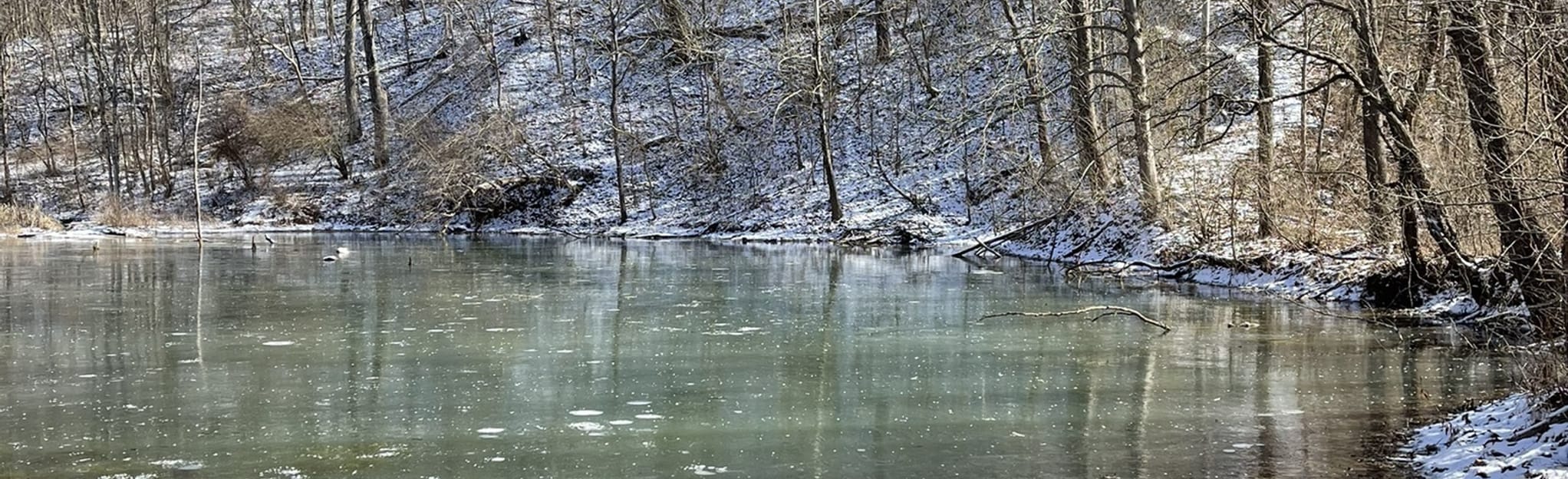 Buckeye Trail from Rte 78 to Campground H, Ohio - 17 Reviews, Map ...