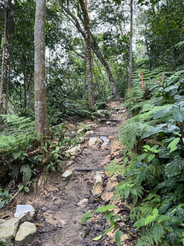 Best Hikes and Trails in Bukit Kiara Park | AllTrails