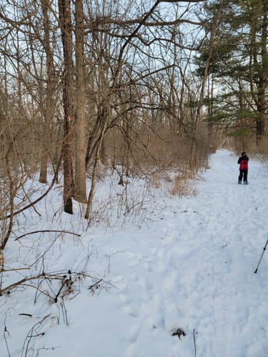 Best Hikes and Trails in Sugar River Forest Preserve | AllTrails