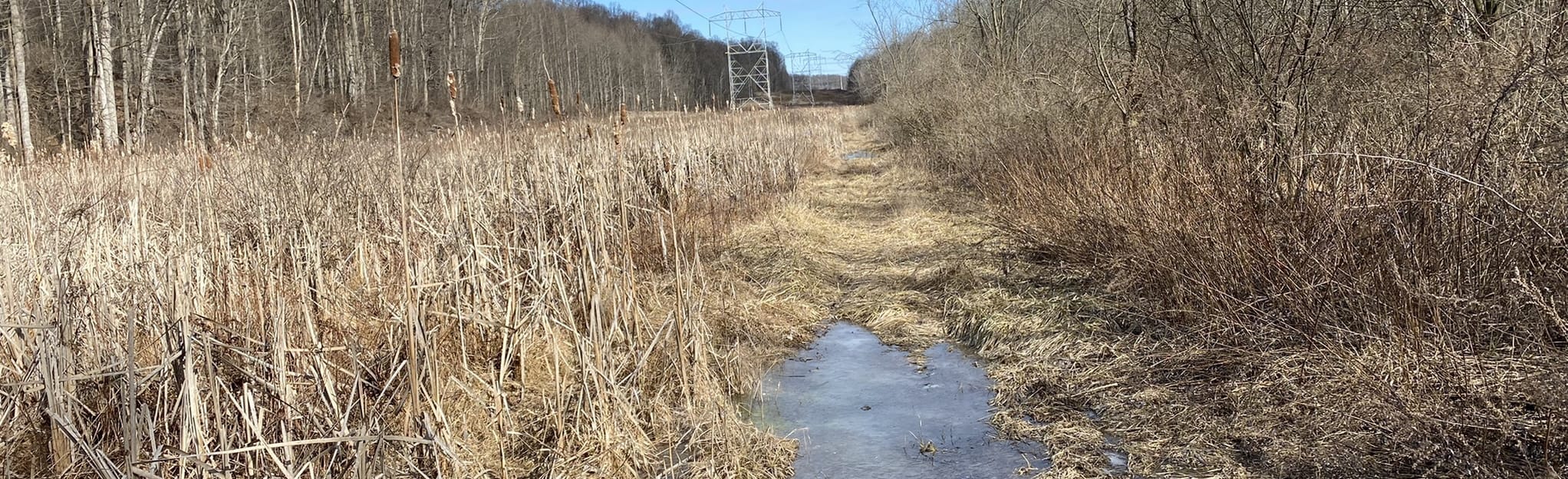 Horseshoe Trail: PA-501 to PA-72, Pennsylvania - 7 Reviews, Map | AllTrails