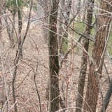 Clinton Lake North Shore Loop, Kansas - 330 Reviews, Map | AllTrails