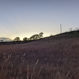 Konza Prairie Nature Trail Loop, Kansas - 361 Reviews, Map | AllTrails