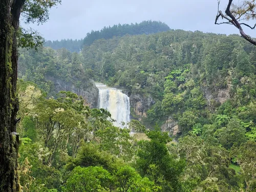 10 Best Walking Trails in Hunua Ranges Regional Park | AllTrails