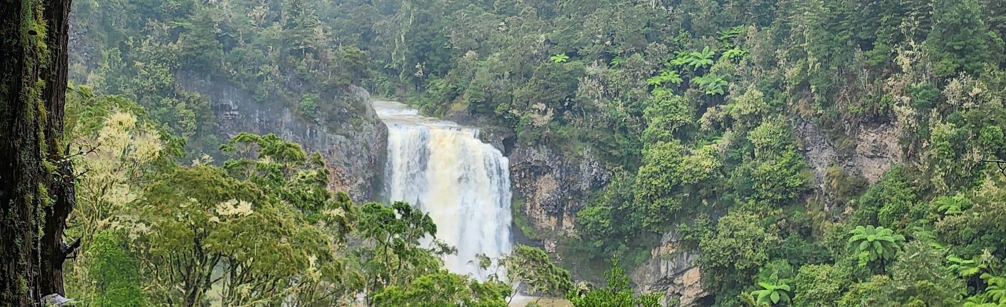 Hunua Falls Lookout Loop, Auckland, New Zealand - 32 Reviews, Map ...