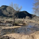Log Corral OHV Trail (FR3456) [CLOSED], Arizona - 121 Reviews, Map ...
