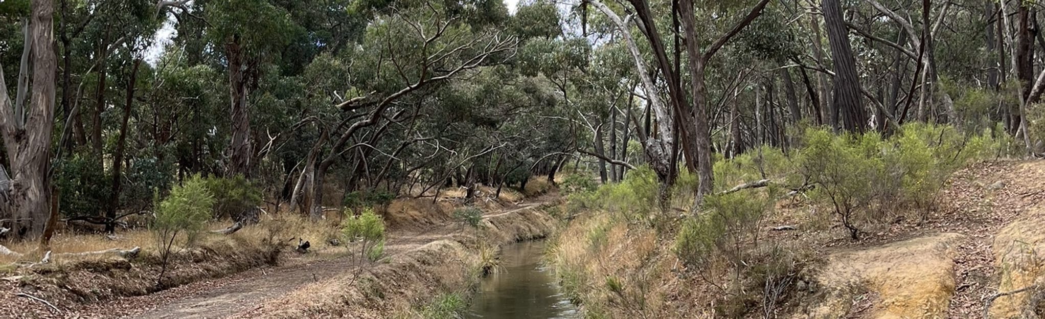 Coliban Water Channel via Taradale Road Loop: 10 Reviews, Map ...