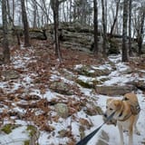 Devils Knob Loop, Arkansas - 237 Reviews, Map | AllTrails