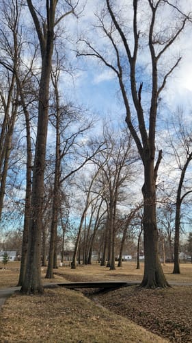 Best Hikes and Trails in John Laderman Park | AllTrails