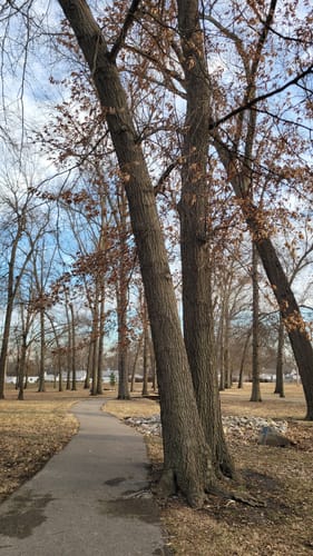 Best Hikes and Trails in John Laderman Park | AllTrails