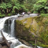 Toorongo and Amphitheatre Falls, Victoria, Australia - 256 Reviews, Map ...