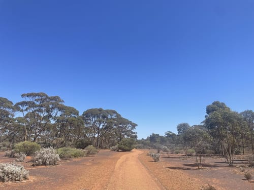 Best Hikes and Trails in Karlkurla Bushland Park | AllTrails