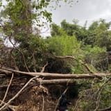 Mount Lambak, Johor, Malaysia - 222 Reviews, Map | AllTrails